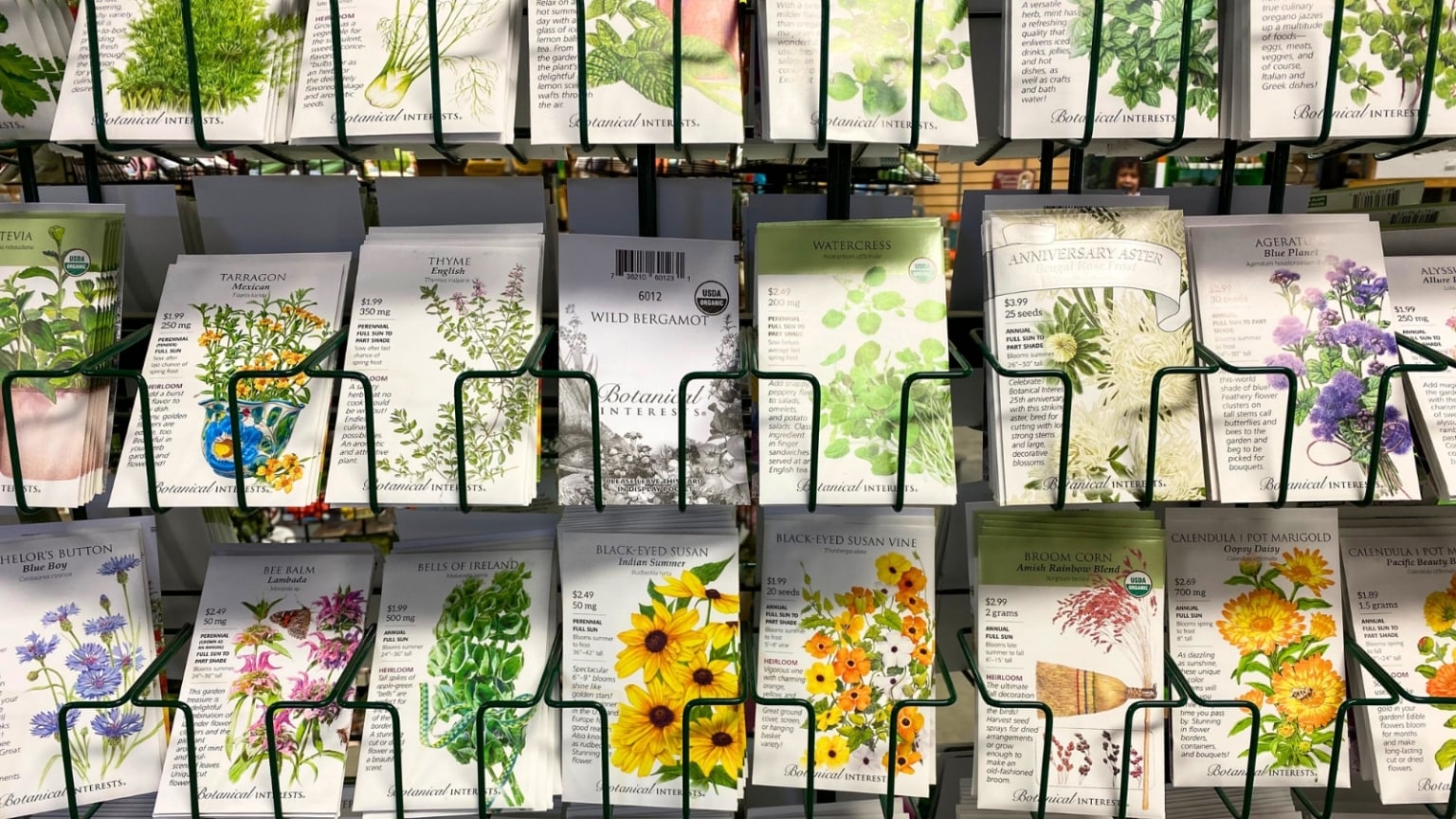 Keep or Toss? How to Assess if Your Plant Seeds are Still Viable