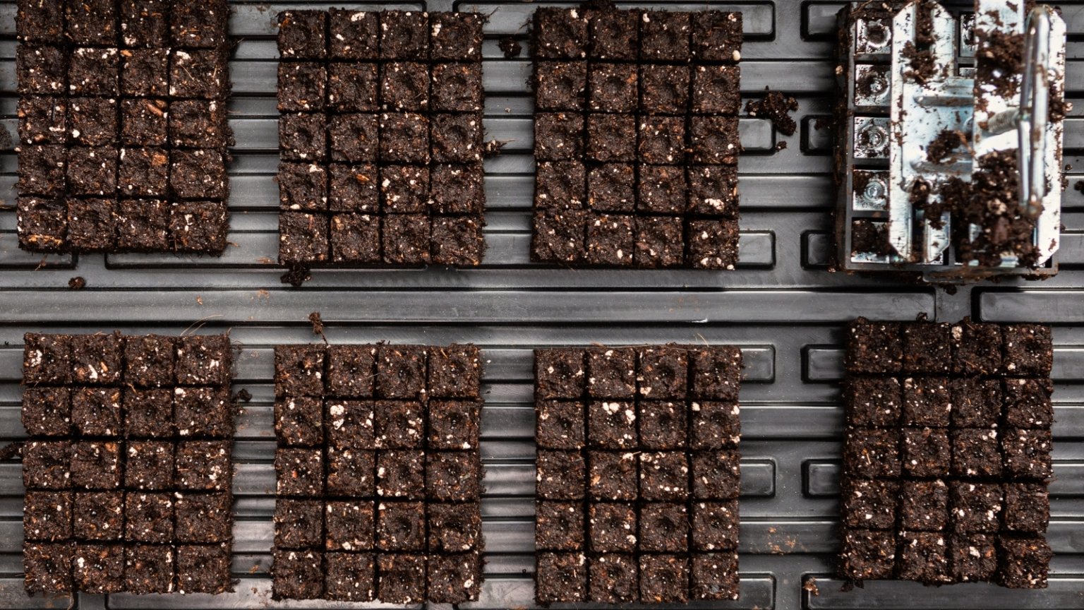 How to Make Your Own Soil Block Mix: Growing Medium Recipes