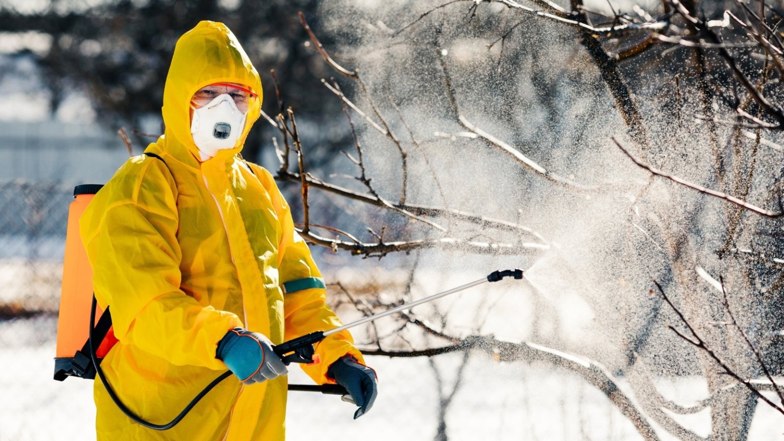 How and When to Spray Dormant Oil on Fruit Trees