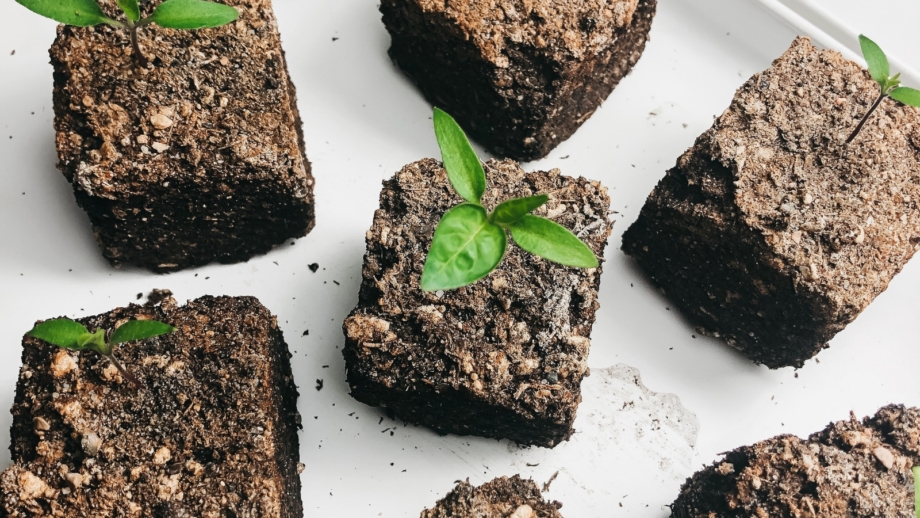 The Ultimate Beginner Guide to Soil Blocking