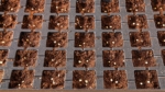 When and How to Grow Eggplants From Seed