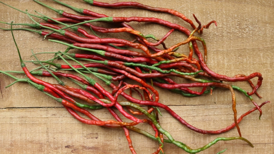 12 Crops We're Planting in 2025