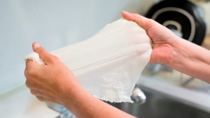 How to Germinate Seeds on Paper Towels in 7 Steps
