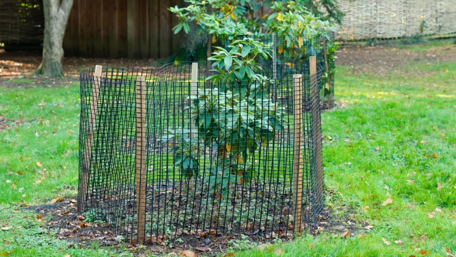 Damage from Heavy Snowfall: 7 Tree-Saving Strategies
