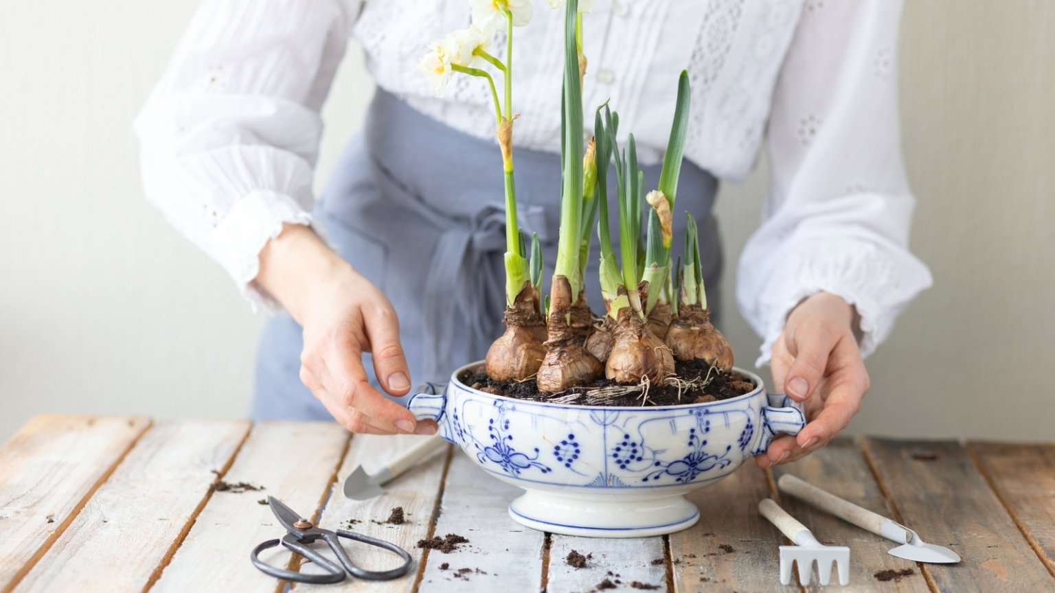 9 Ways to Get Your Paperwhites to Rebloom