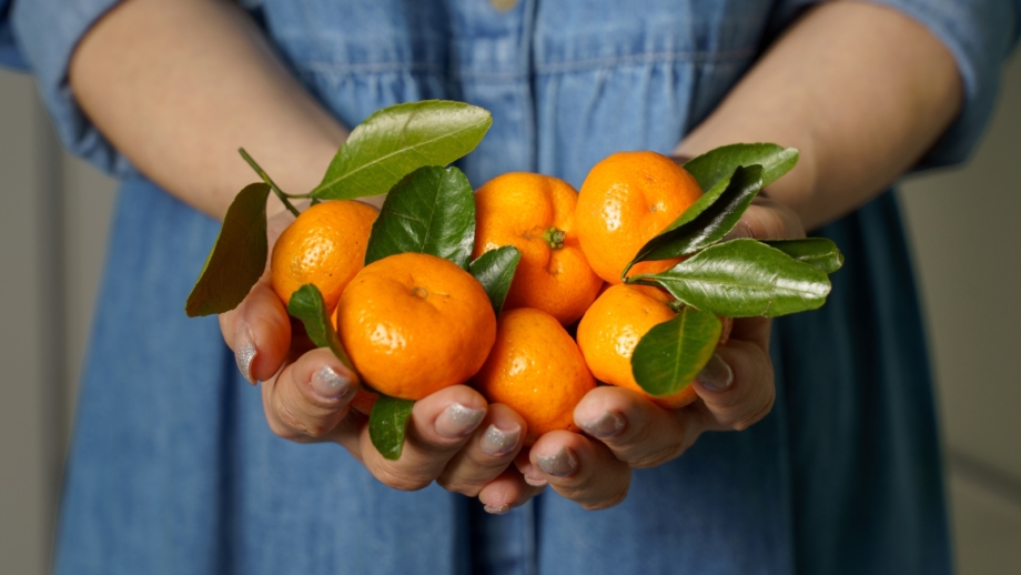 How and When to Pick Clementine Fruit