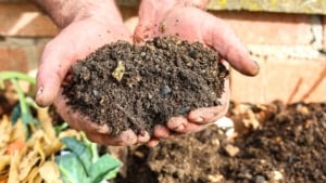 How to Make Your Own Soil Block Mix: Growing Medium Recipes