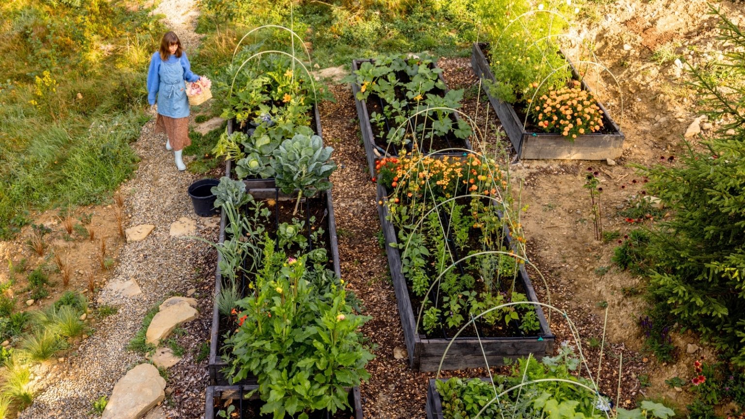 11 Vegetable Garden Layout Plans to Try This Year