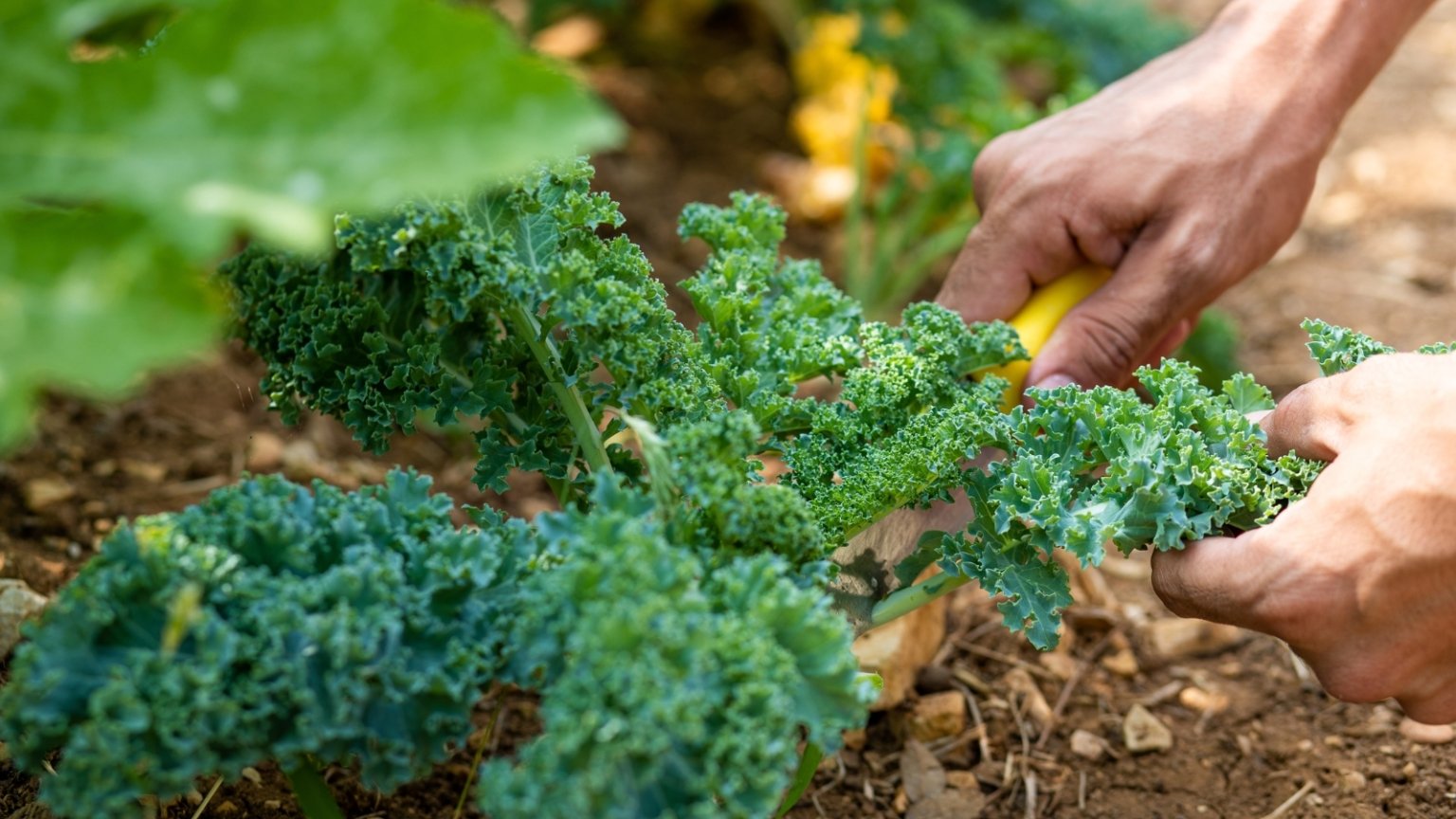 11 Benefits of Starting Seeds Early