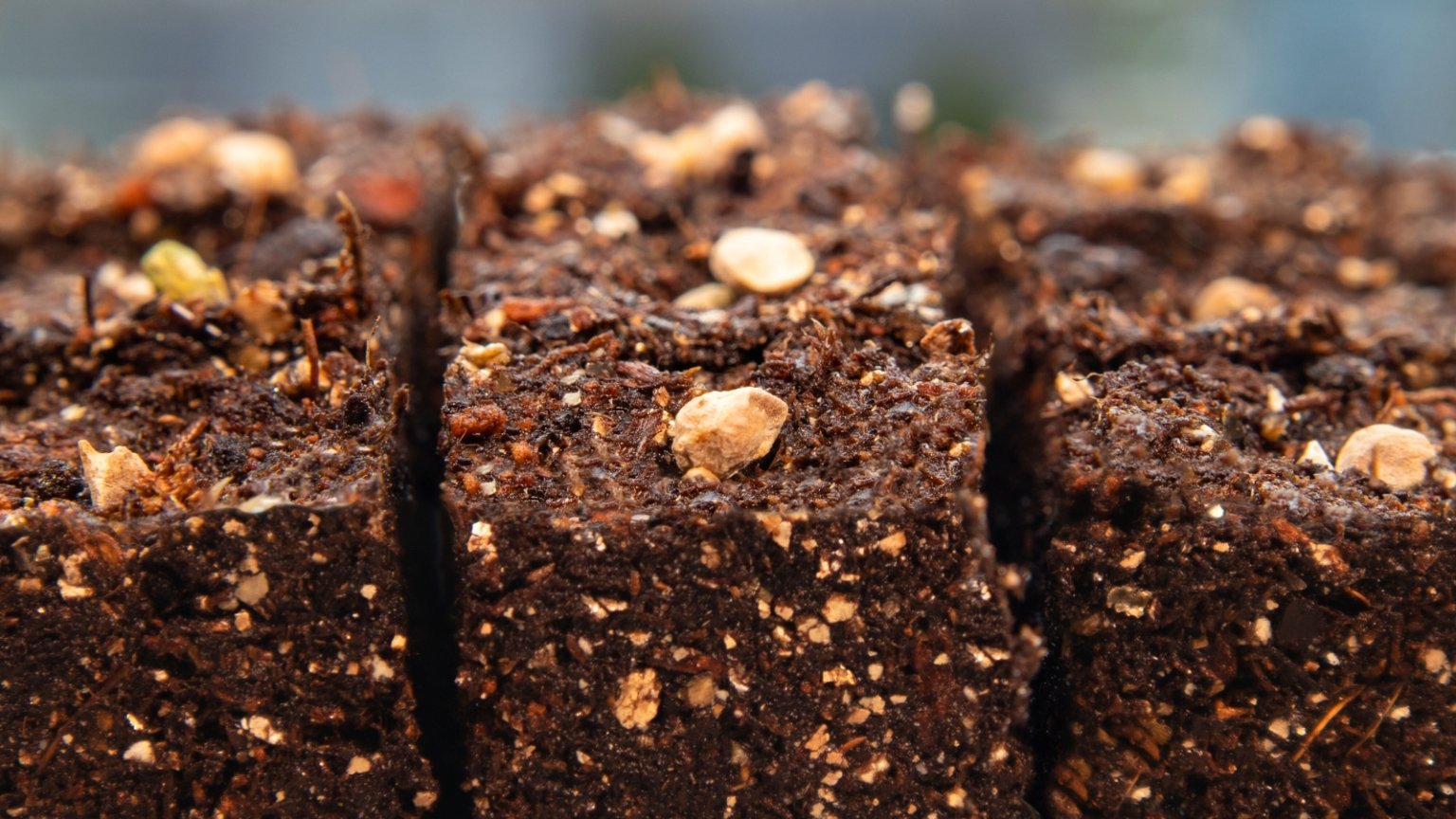 How to Make Your Own Soil Block Mix: Growing Medium Recipes