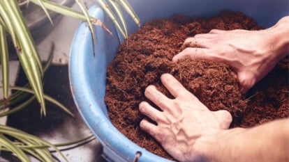 How to Make Your Own Soil Block Mix: Growing Medium Recipes