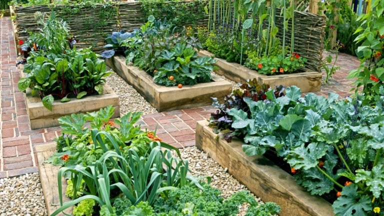 11 Vegetable Garden Layout Plans to Try This Year