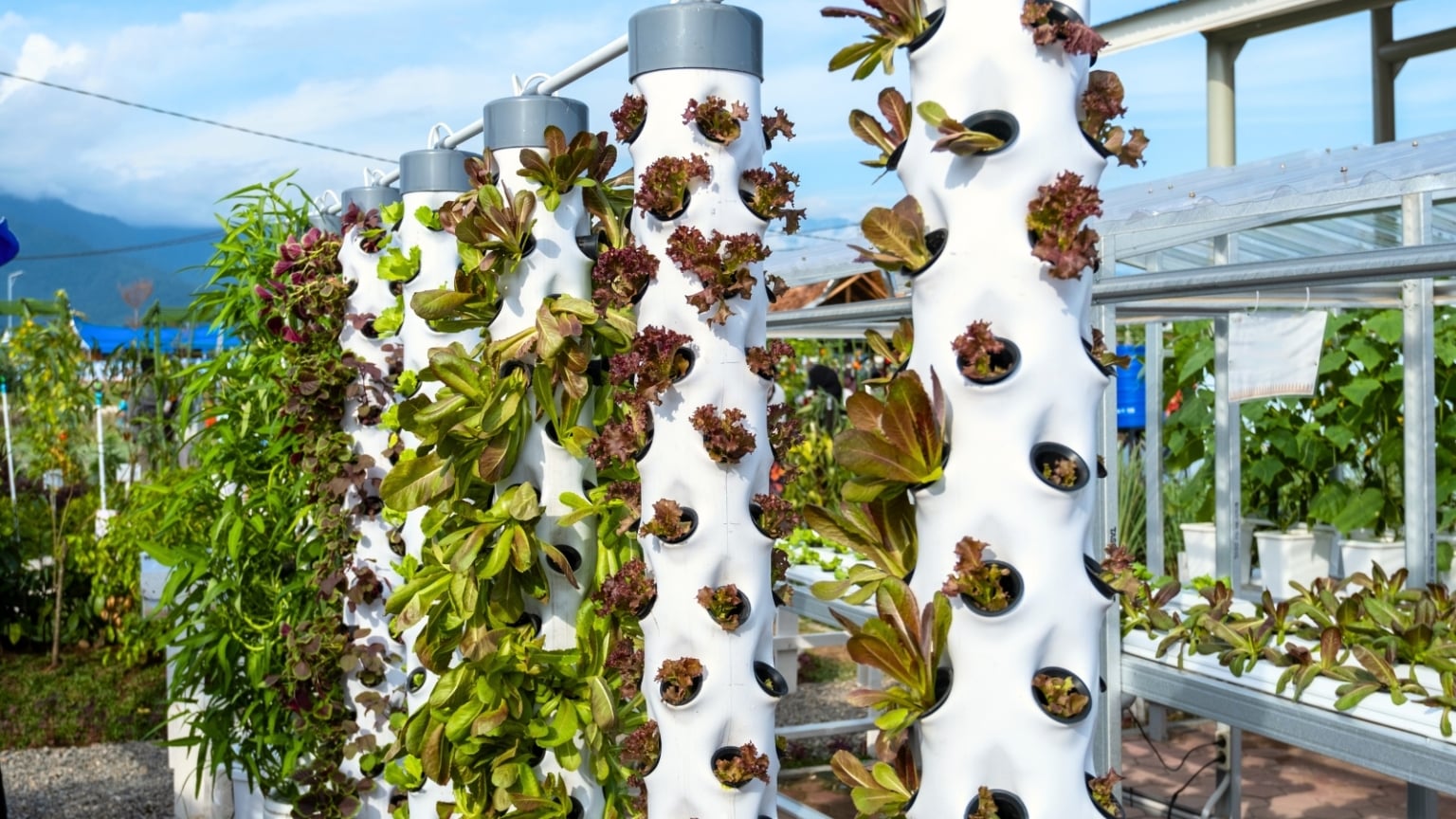 15 Reasons Why You Should Try Hydroponic Gardening This Year