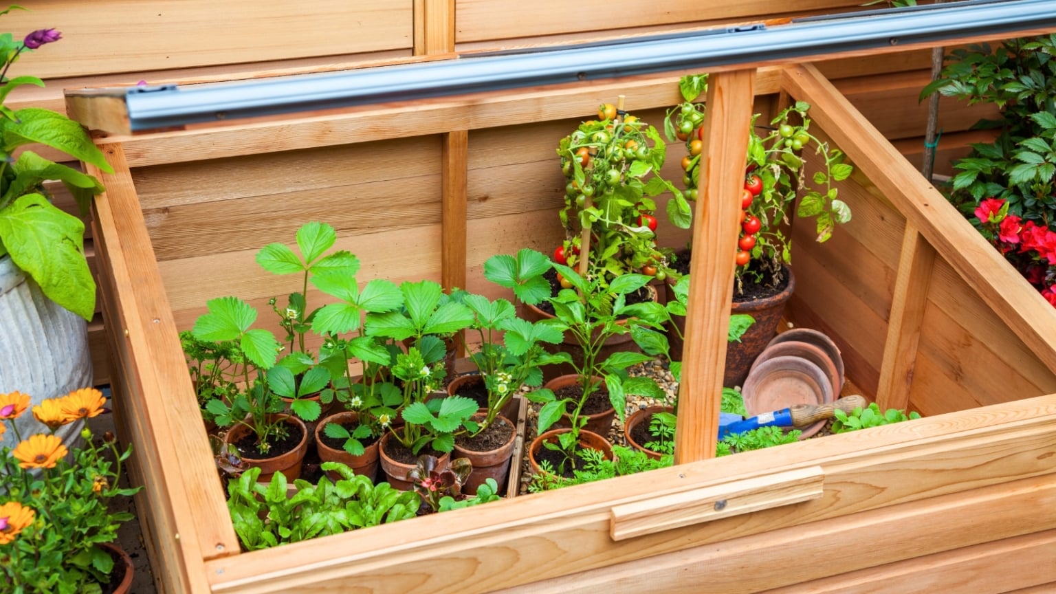 9 Best Containers to Use for Seed-Starting