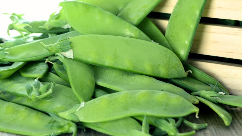 How to Plant, Grow, and Care for Snow Peas