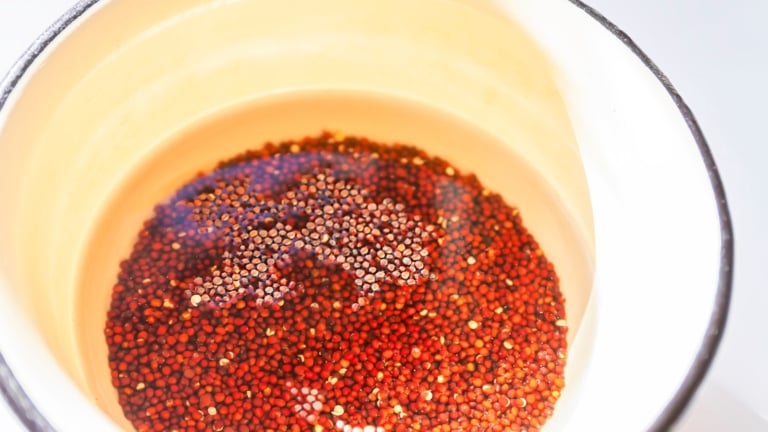 5 Seed Germination Methods To Try This Season - Epic Gardening