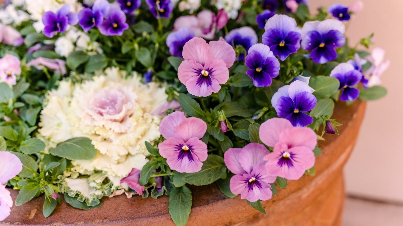 15 Easy Winter Container Ideas for Southern Gardens