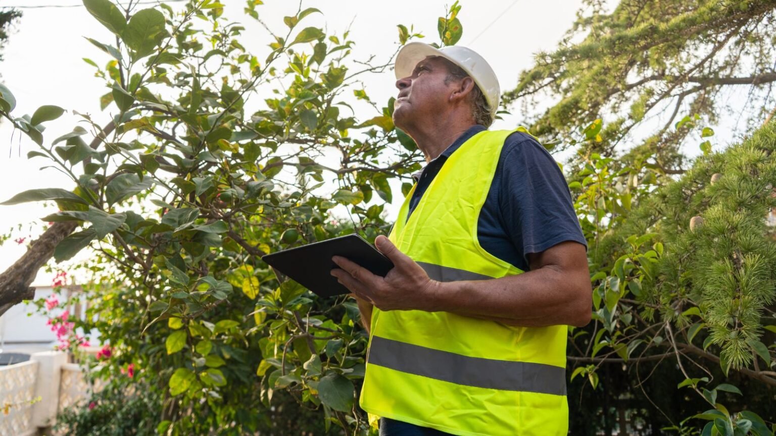 7 Lemon Tree Diseases: Causes and Cures