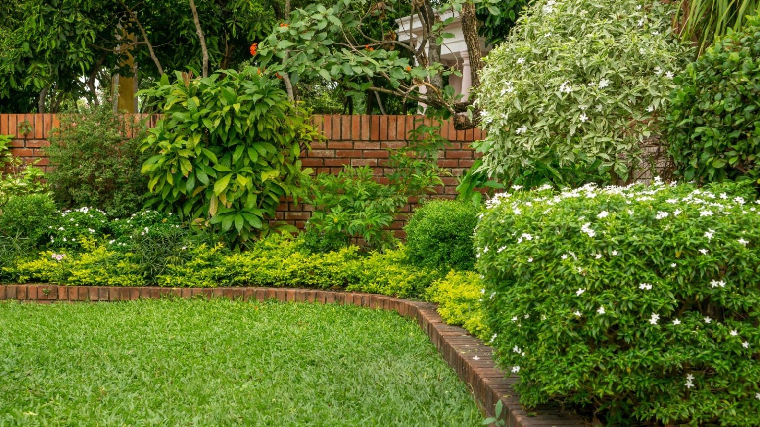 13 Disease-Resistant Shrubs to Plant in February