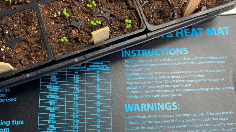 6 Heat Mat Mistakes to Avoid When Starting Seeds This Season