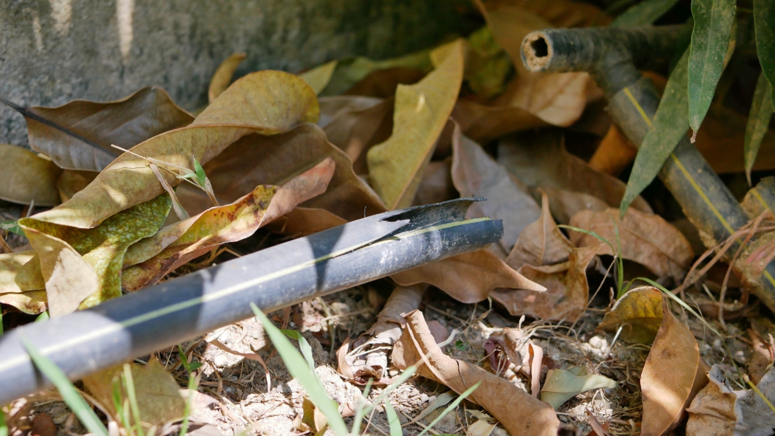 7 Essential Checks to Perform on Your Drip Irrigation System in Spring
