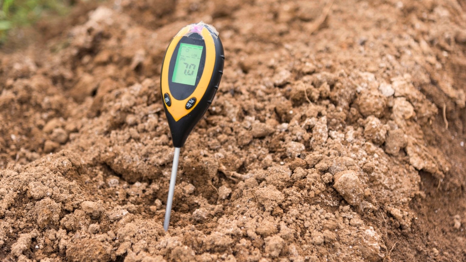 13 Tips to Prepare Your Soil Before Spring Planting