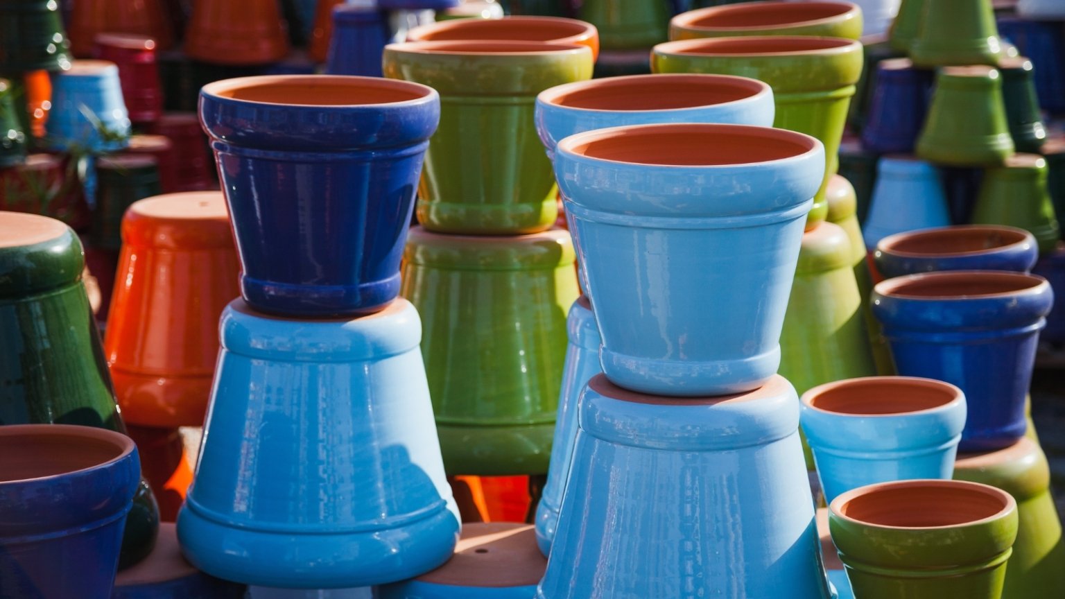 11 Best Containers and Pots for Growing Berries