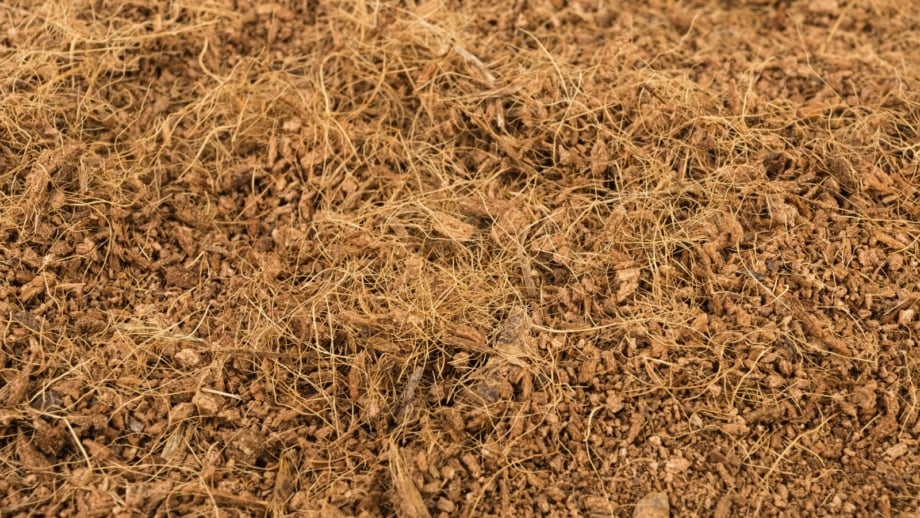 13 Pros and Cons of Coconut Coir Mulch