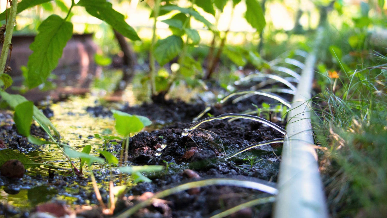 Do These 13 Gardening Tasks in March to Boost Your Garden’s Yield