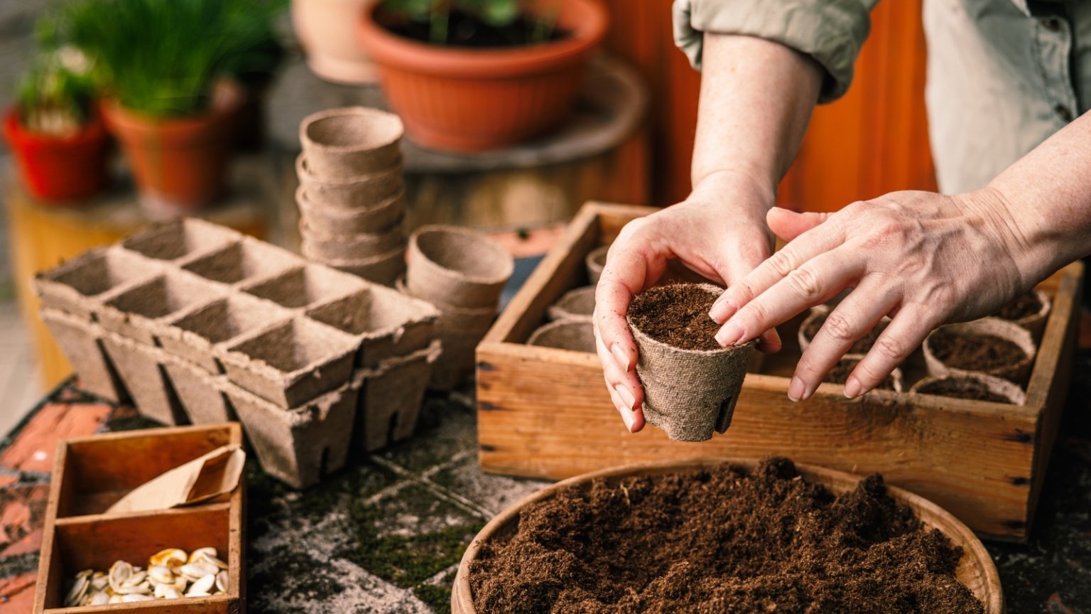 Homemade Seed Starting Mix: DIY Options with Recipes