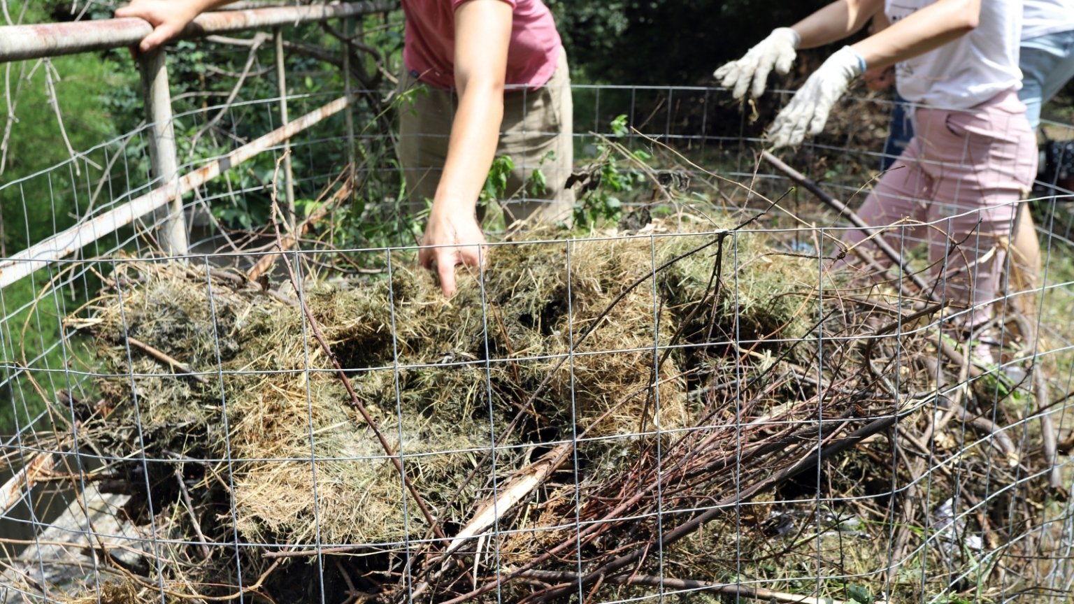 How to Speed up Your Compost: 17 Strategies to Try