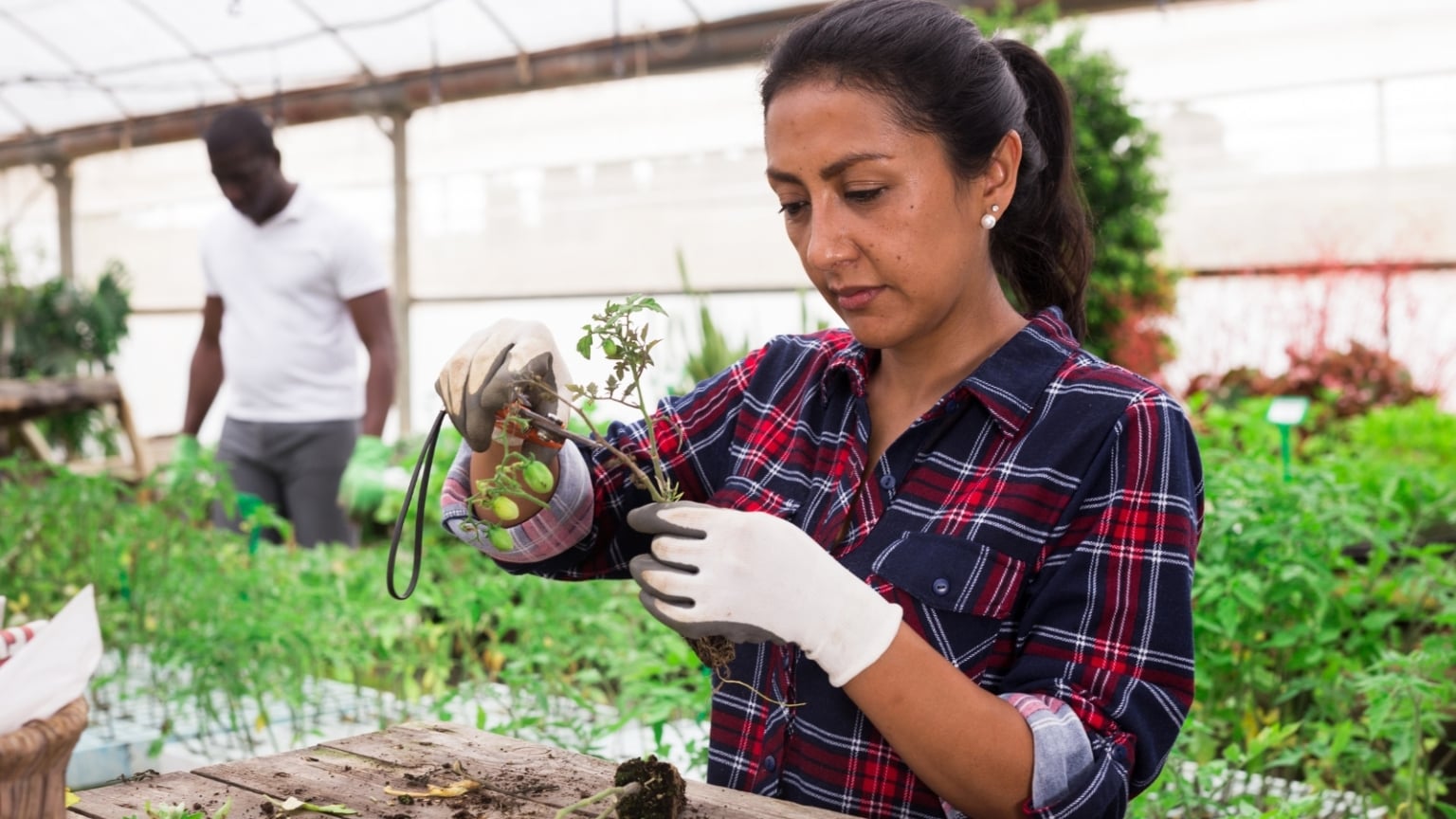 Landscaping Careers: Finding A Pathway Through The Industry - Epic ...