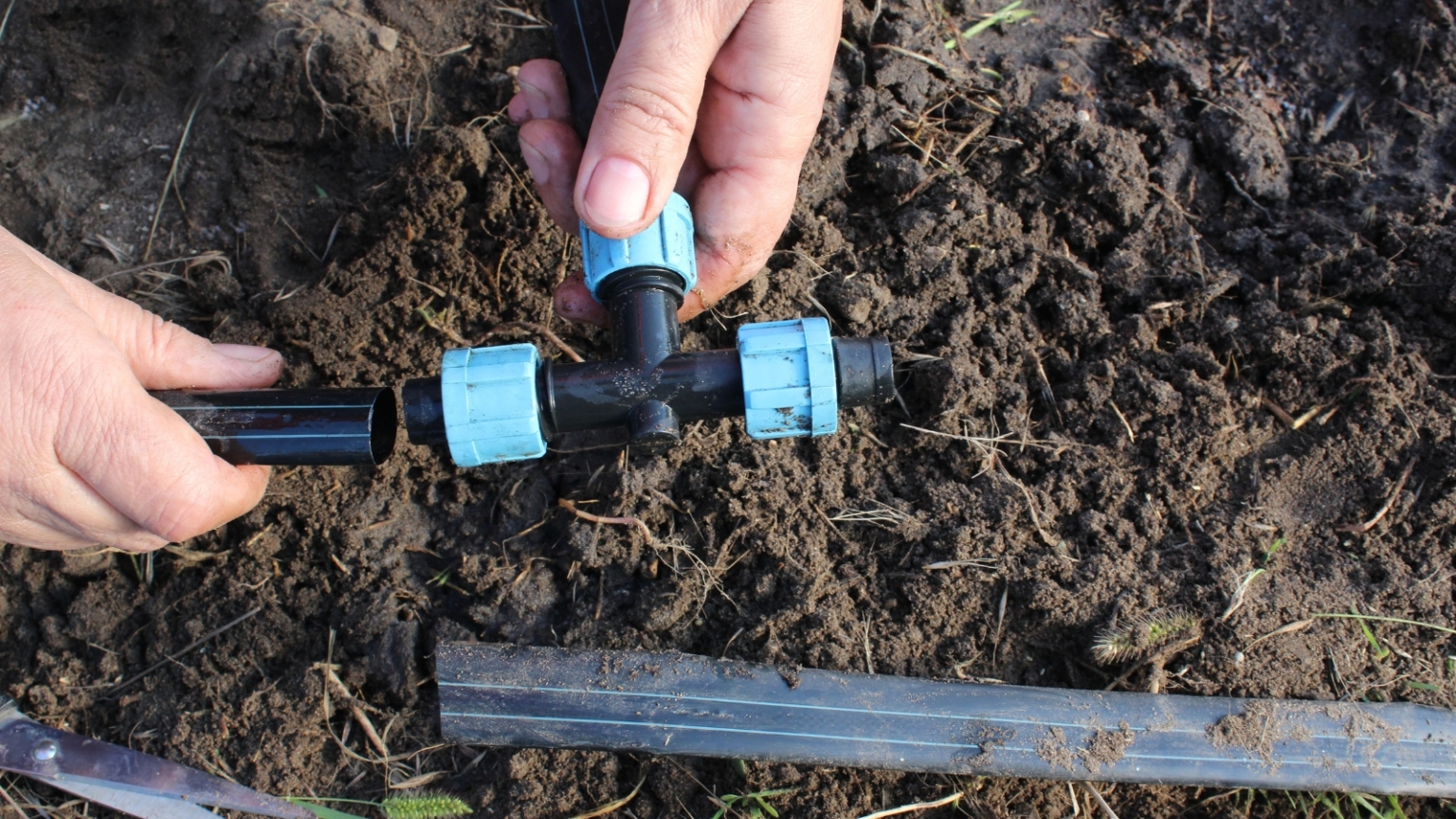 7 Essential Checks to Perform on Your Drip Irrigation System in Spring