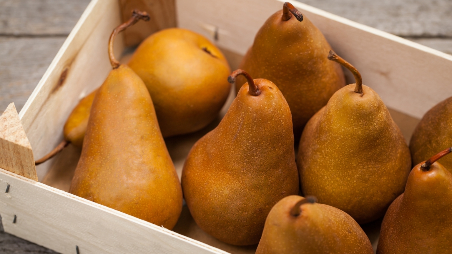 How to Plant, Grow, and Care for Bosc Pear Trees