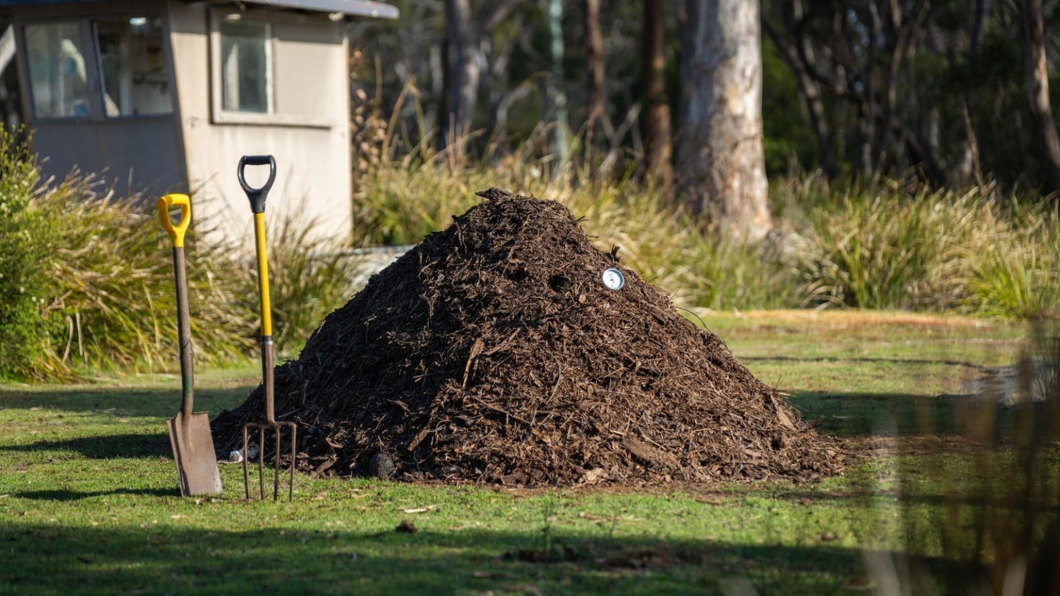 How to Speed up Your Compost: 17 Strategies to Try