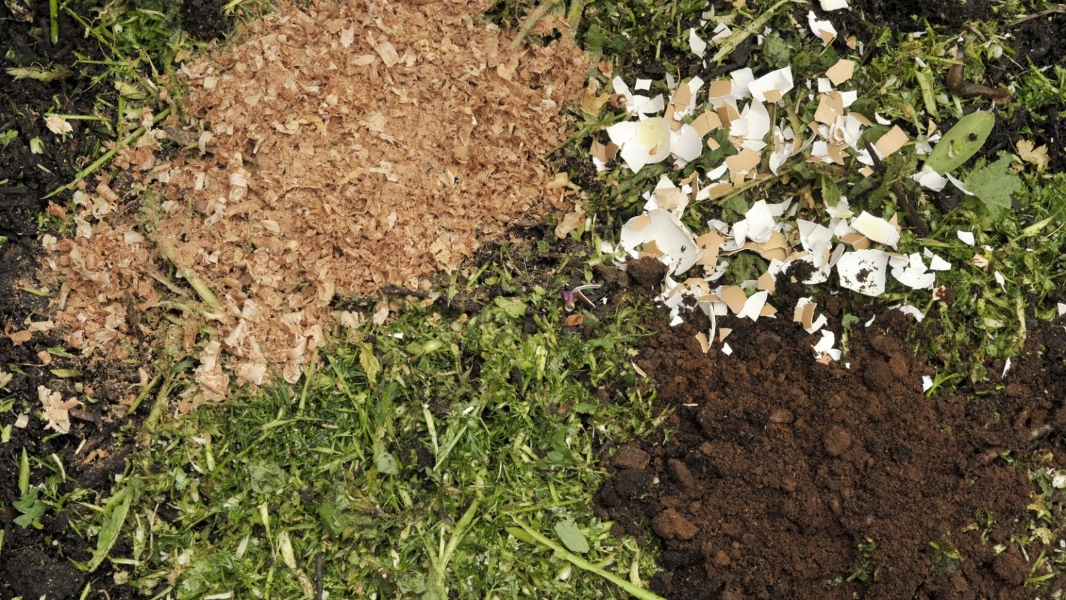 How to Speed up Your Compost: 17 Strategies to Try