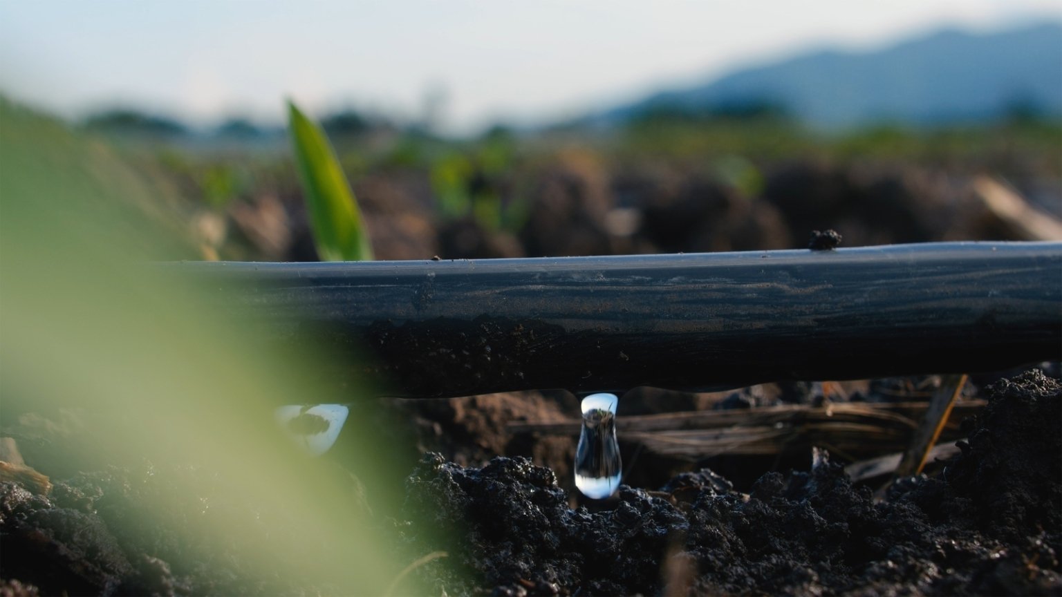 7 Essential Checks to Perform on Your Drip Irrigation System in Spring