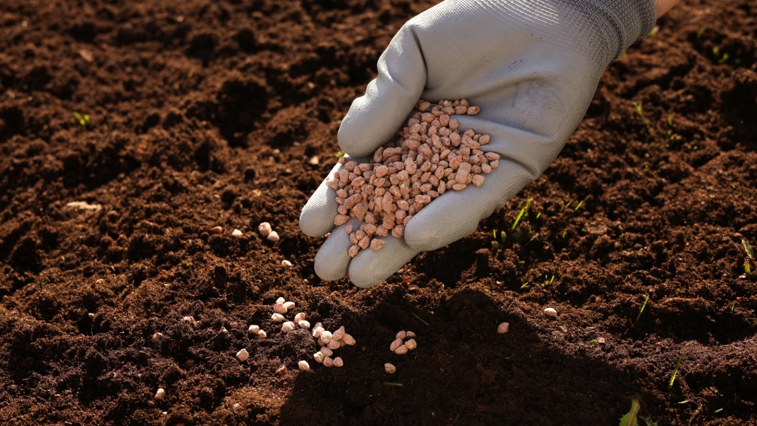 13 Tips to Prepare Your Soil Before Spring Planting