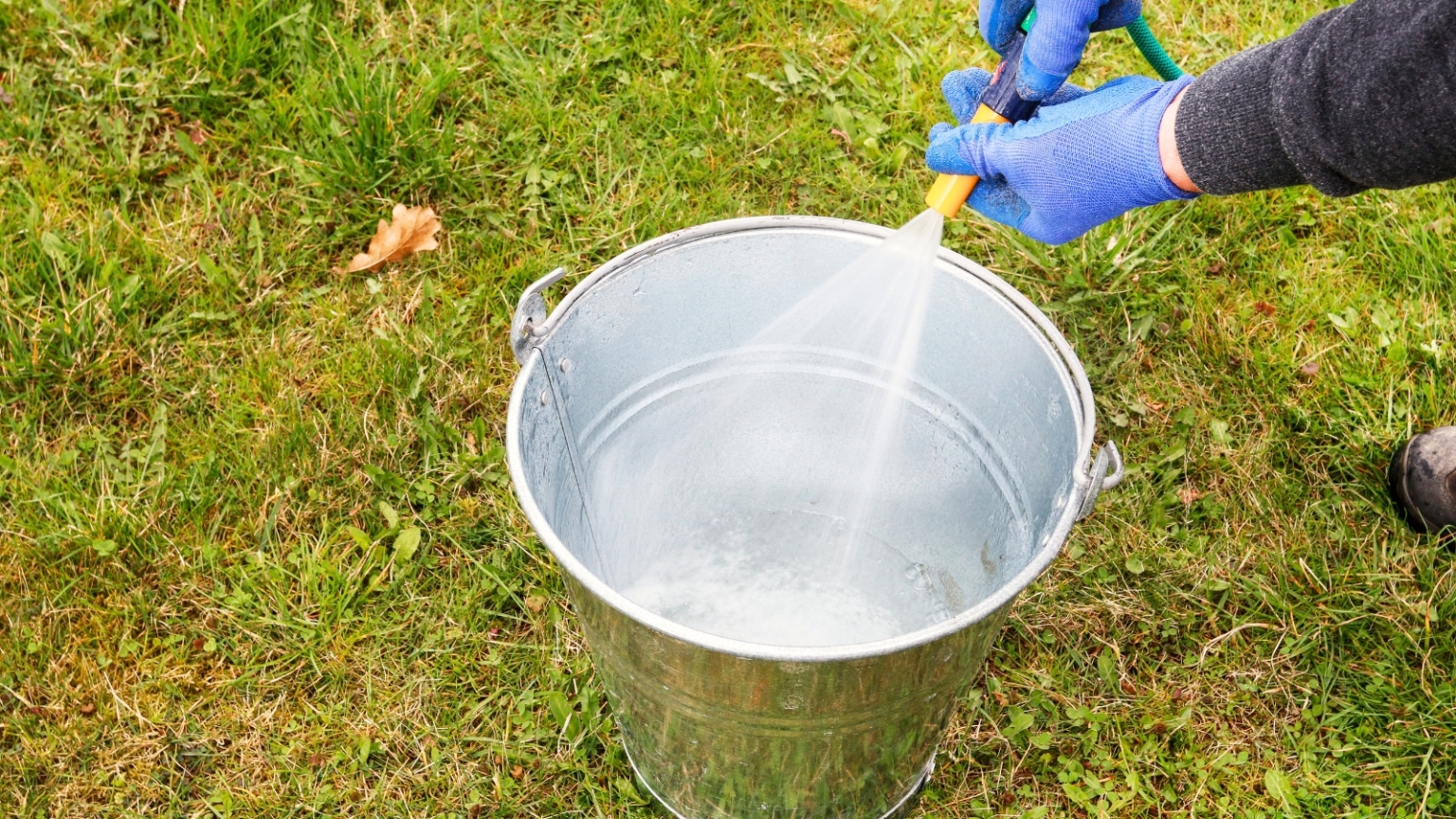 When and How to Soak Bare Root Roses