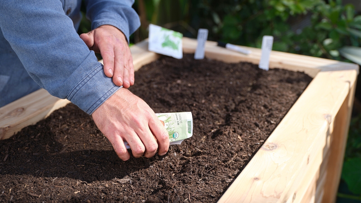 13 Vegetables to Plant in February
