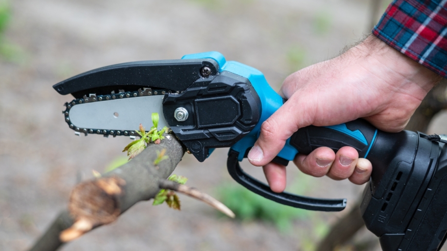 We Tested 8 Weird Gardening Tools: Our Surprising Results
