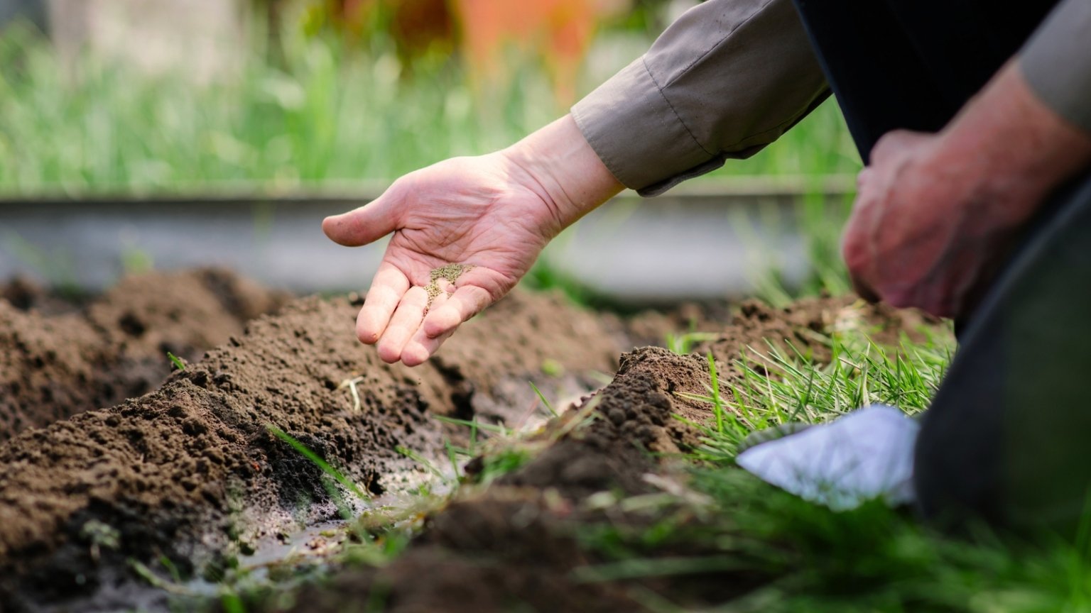 13 Tips to Prepare Your Soil Before Spring Planting