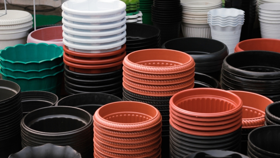 11 Best Containers and Pots for Growing Berries