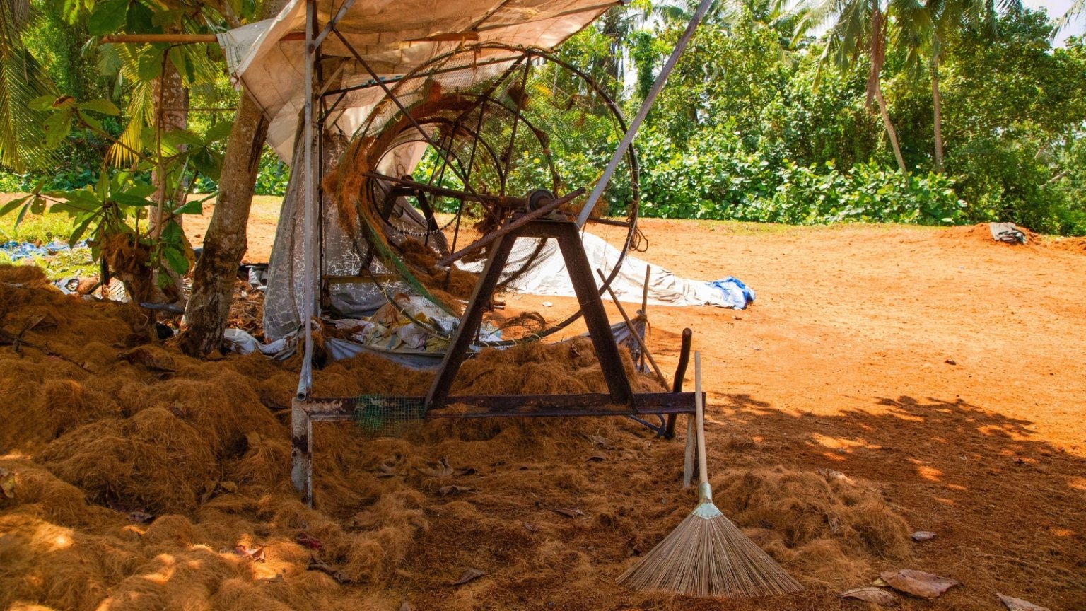 How To Use Coconut Coir: 13 Expert Tips - Epic Gardening