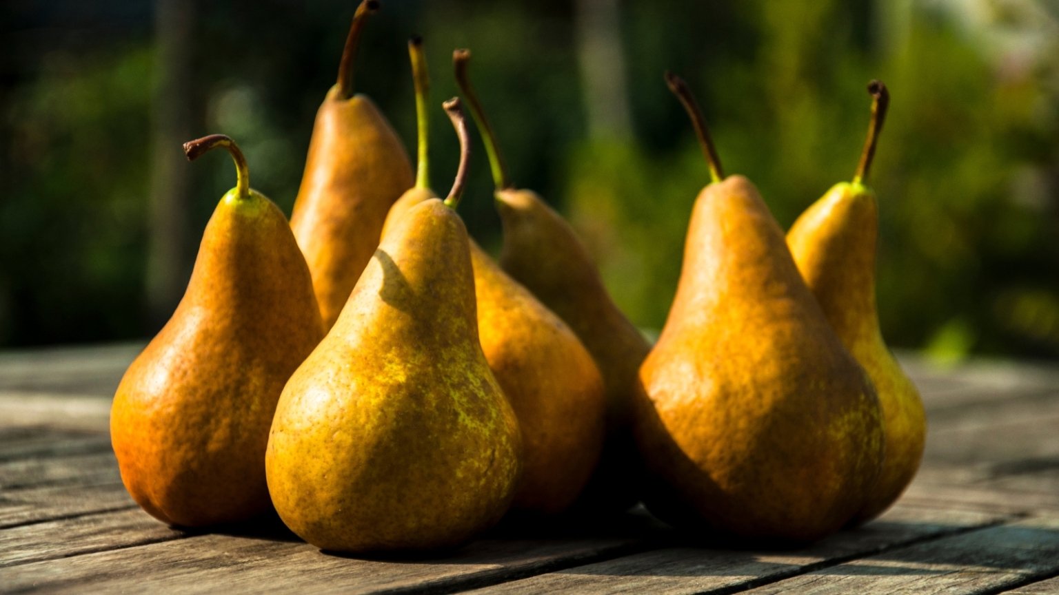 How to Plant, Grow, and Care for Bosc Pear Trees