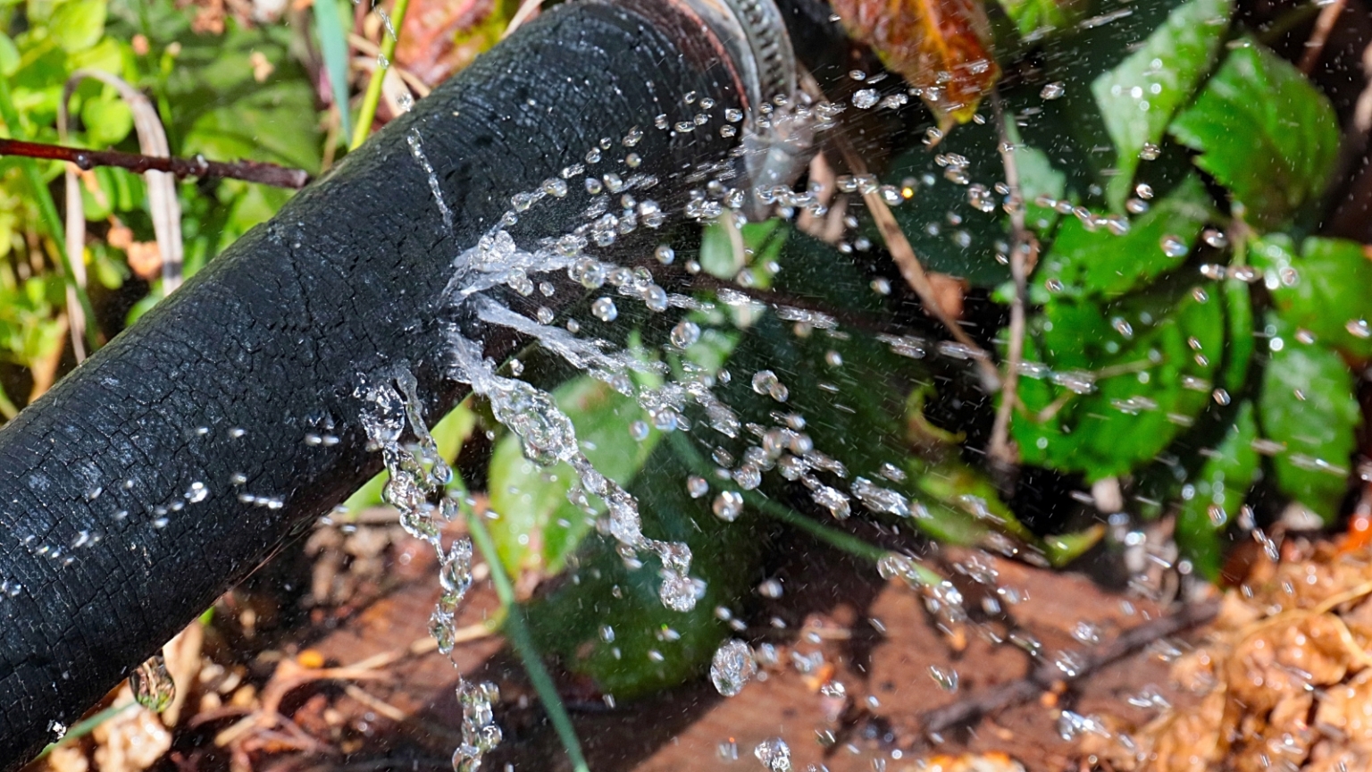7 Essential Checks to Perform on Your Drip Irrigation System in Spring
