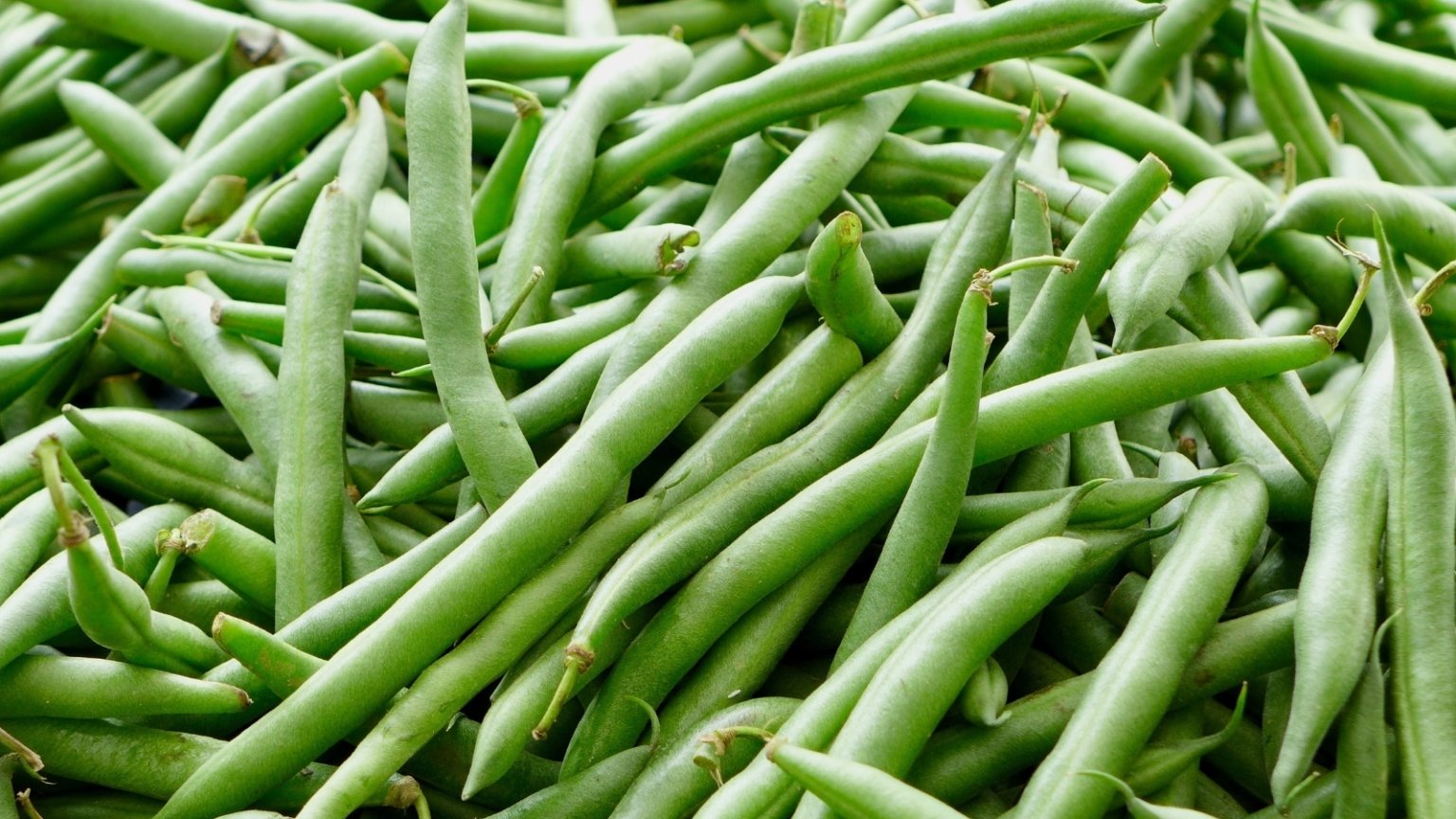 17 Essential Crops for Your Victory Garden