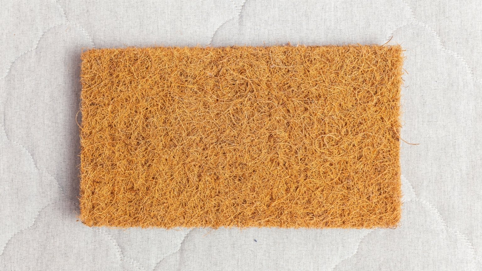 13 Pros and Cons of Coconut Coir Mulch