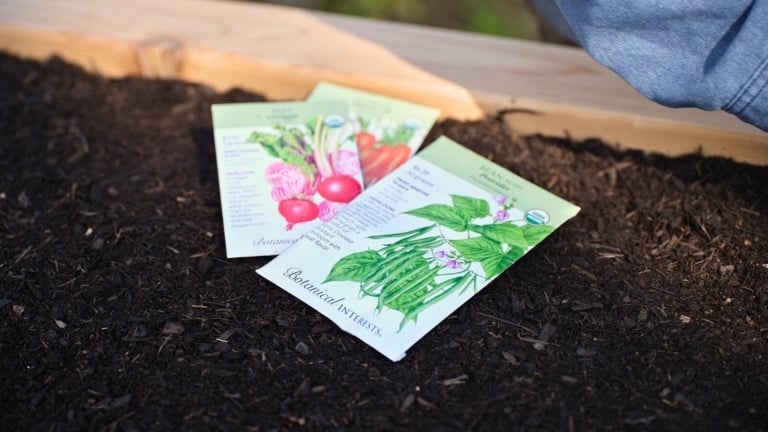 How to Start a Victory Garden in 9 Easy Steps