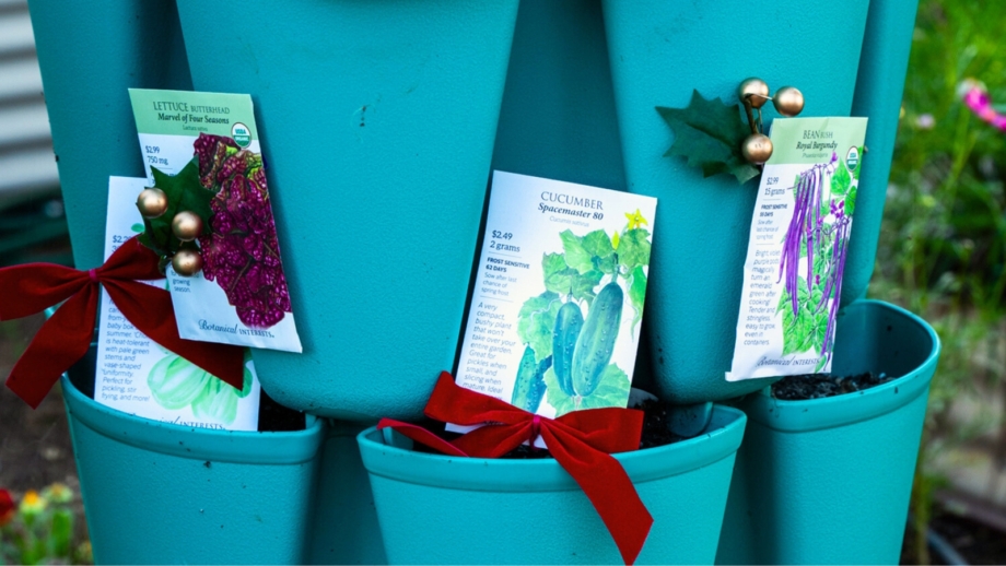 How to Find and Choose High-Quality Seeds: 13 Things to Look For